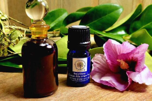 Cistus essential oil: a few drops for maximum effect